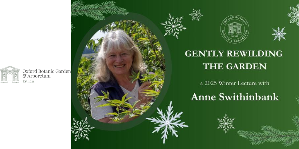 Winter Lecture 2025: In Conversation with Anne Swithinbank - Oxford Bus ...