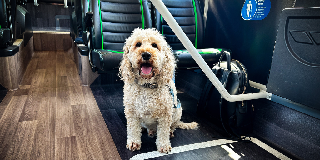 Paw-Some Escapes by Bus - Oxford Bus Company and Thames Travel